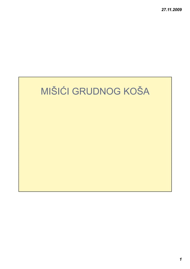 Misici zidova grudnog kosa | PDF