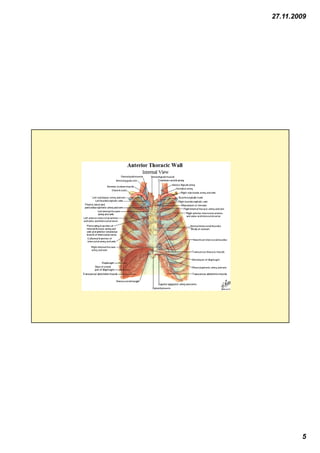 Misici zidova grudnog kosa | PDF