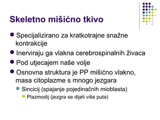 Misicno tkivo | PPT