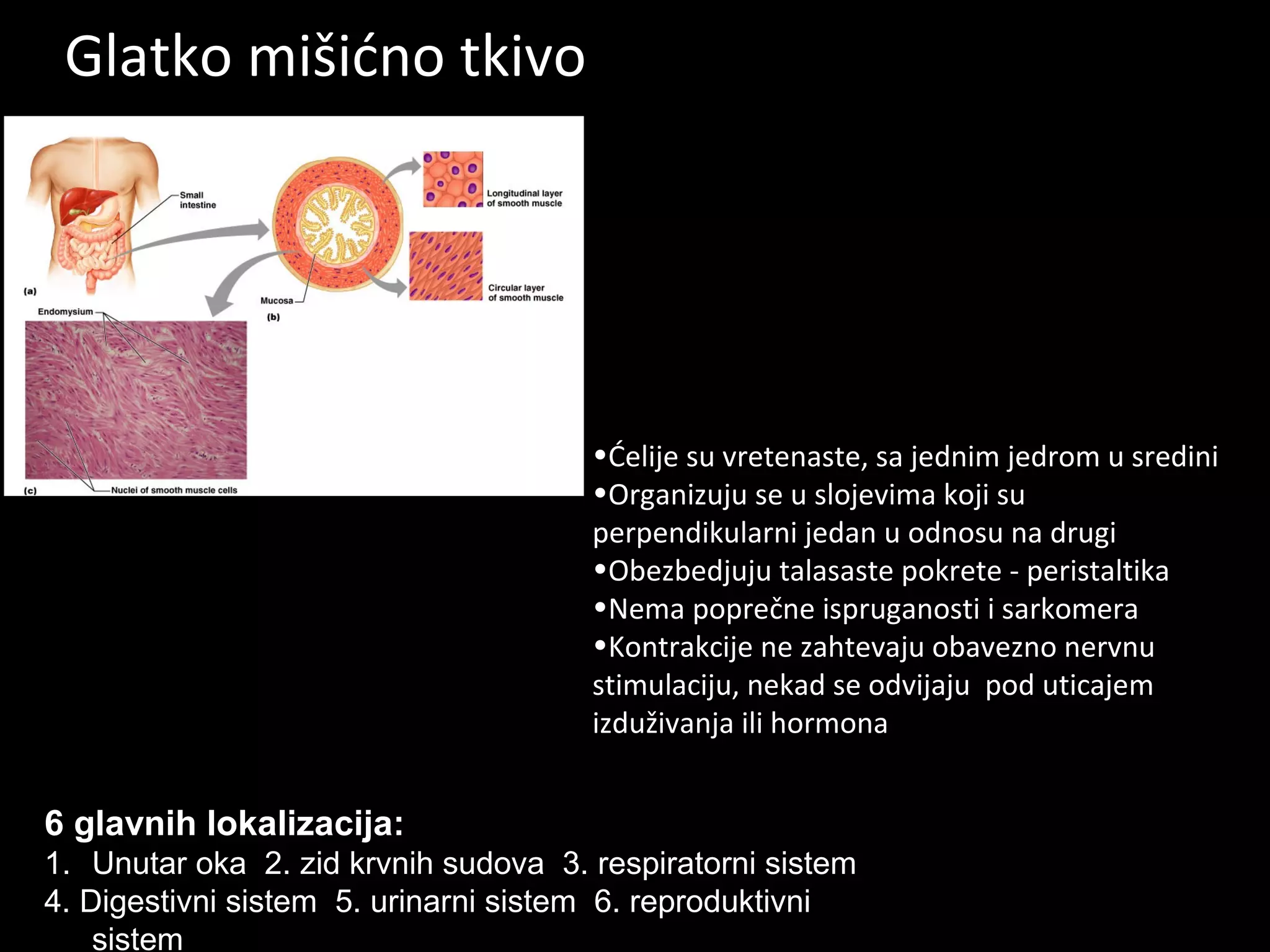 Misicno tkivo | PPT