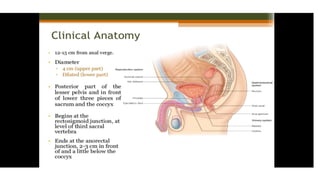 Minimal Invasive Surgery in CA Rectum | PPT