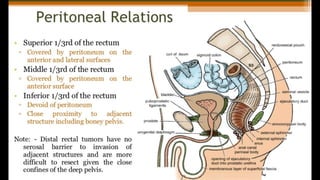 Minimal Invasive Surgery in CA Rectum | PPT