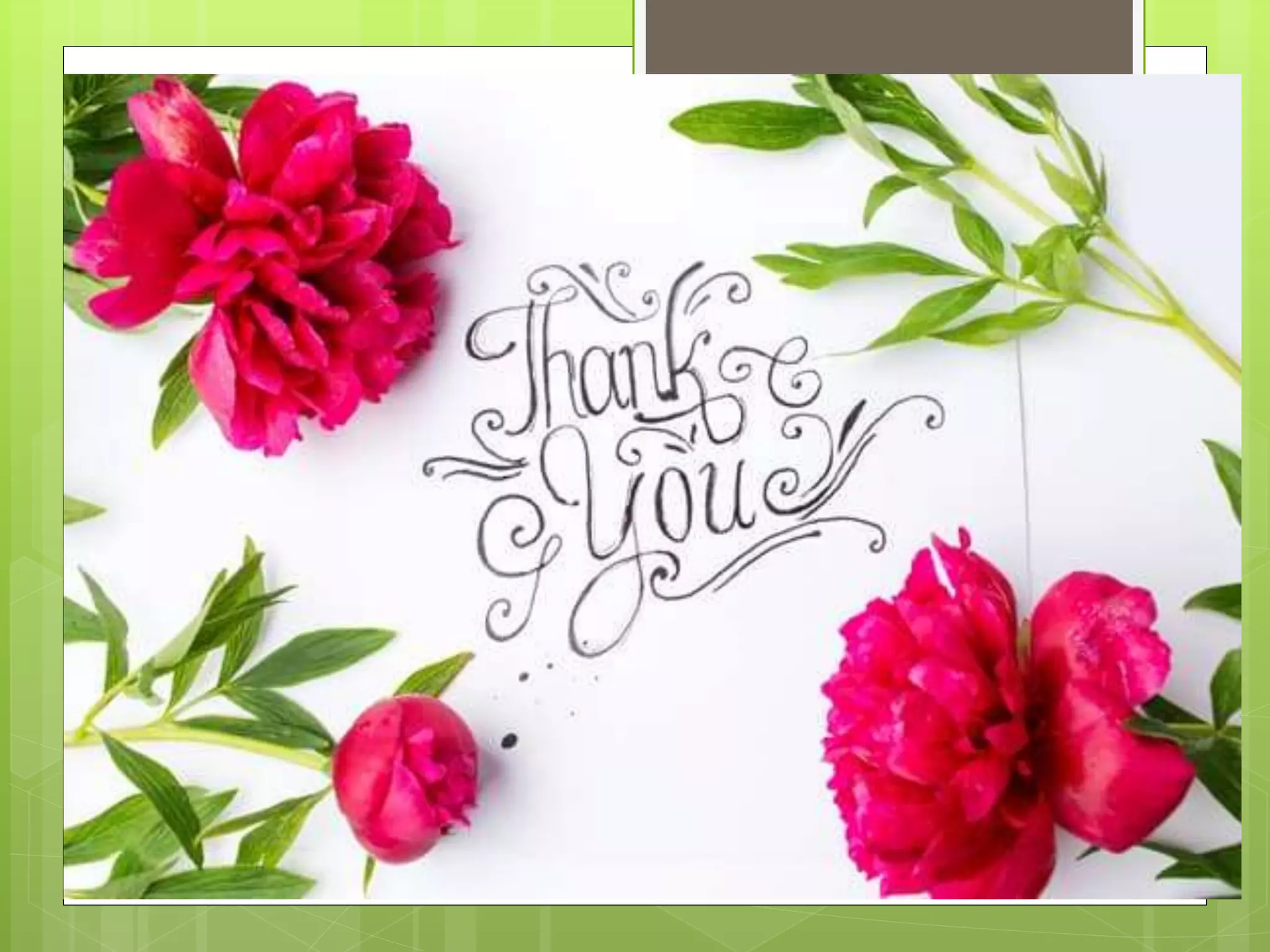 ibn Miskawaih by sara anam...MUSLIM DARWIN | PPTX