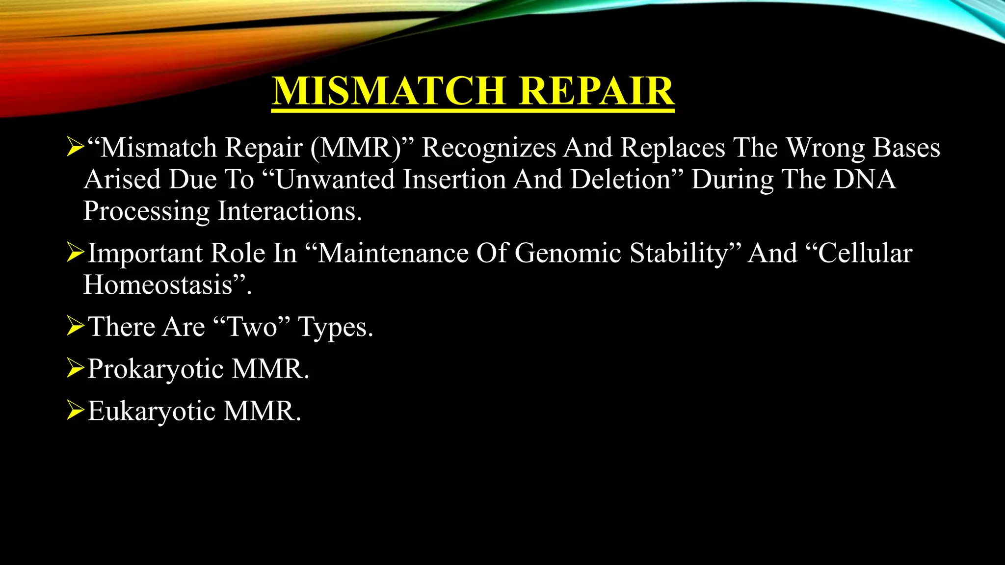 Mismatch Repair Mechanism | PPTX