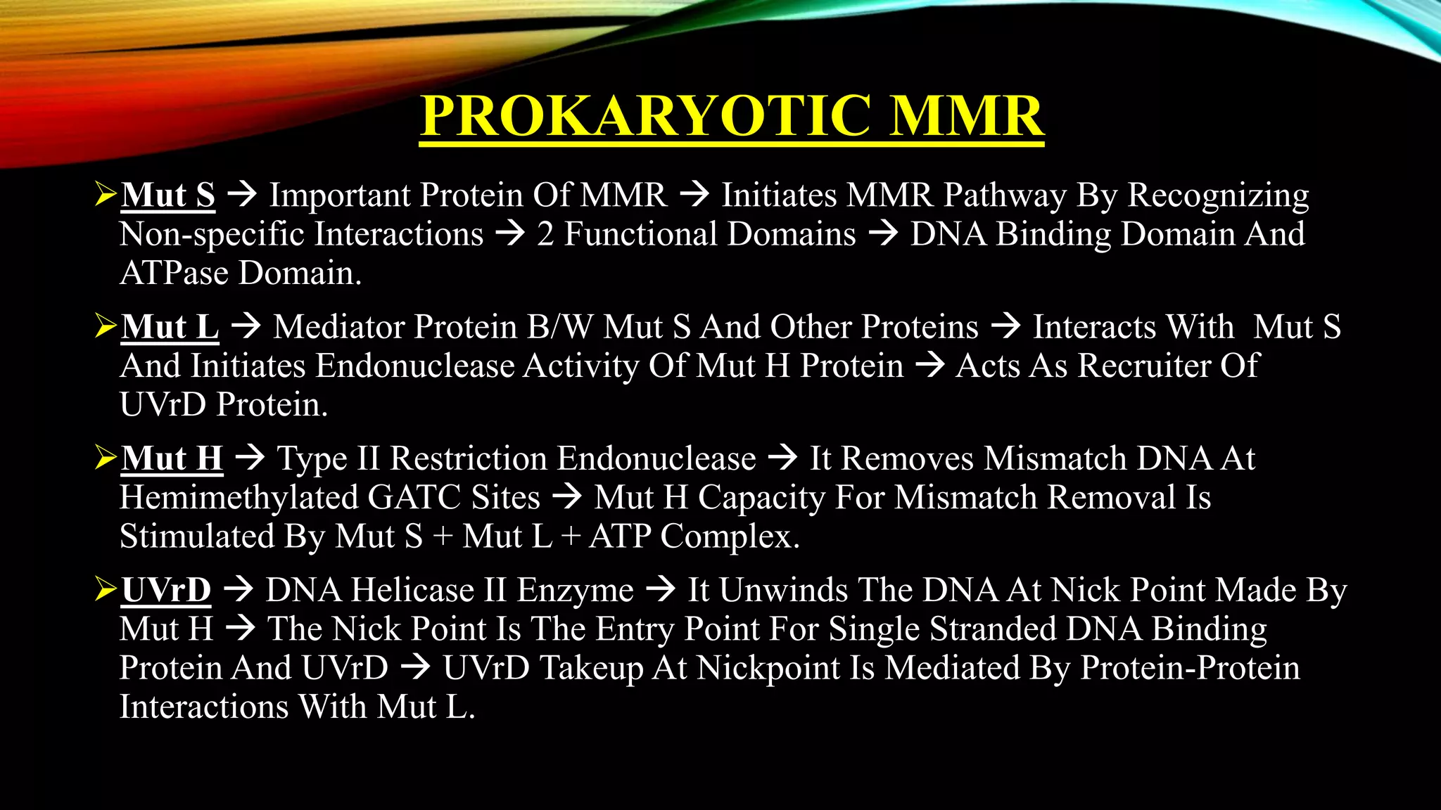 Mismatch Repair Mechanism | PPTX