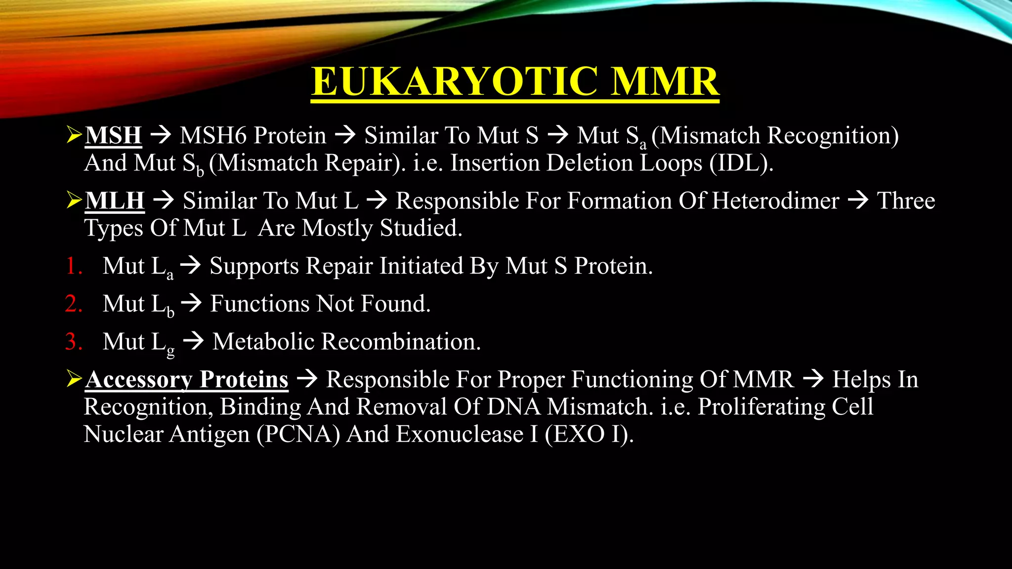 Mismatch Repair Mechanism | PPTX