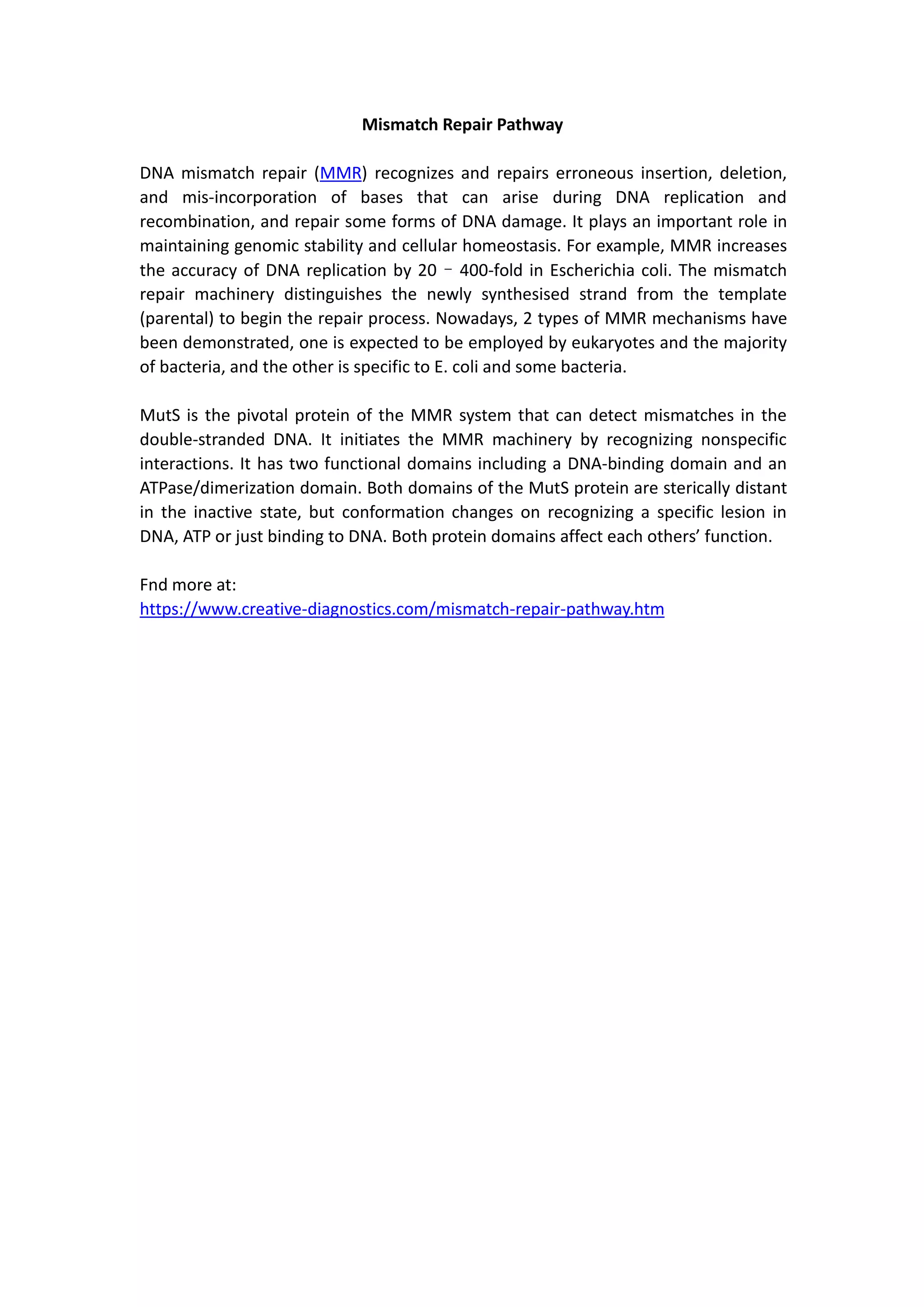 Mismatch repair pathway | PDF