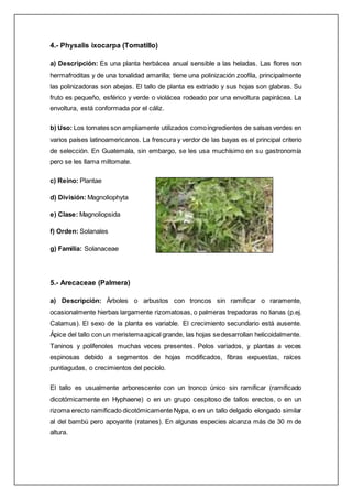 Mis plantas karen | DOCX