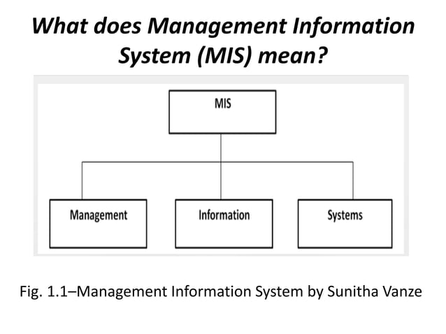Management Information System PPT | PPTX | Operating Systems | Computer ...