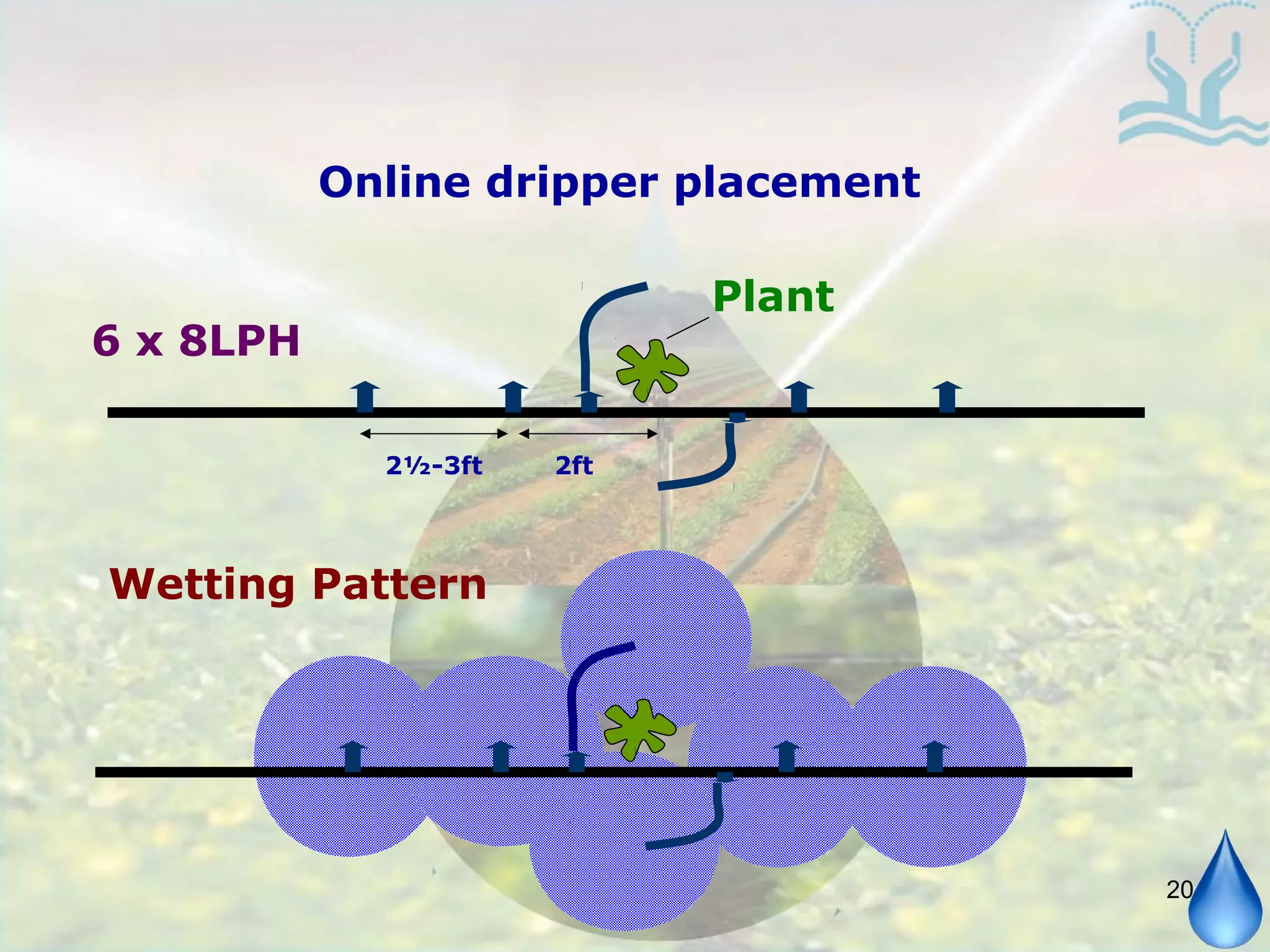 Micro Irrigation Systems | PPT