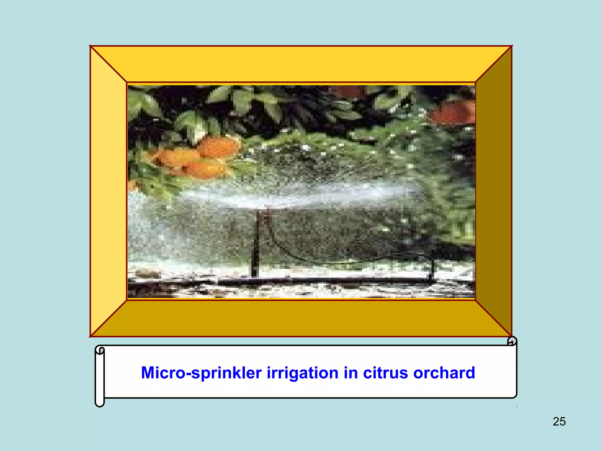 Micro Irrigation Systems | PPT