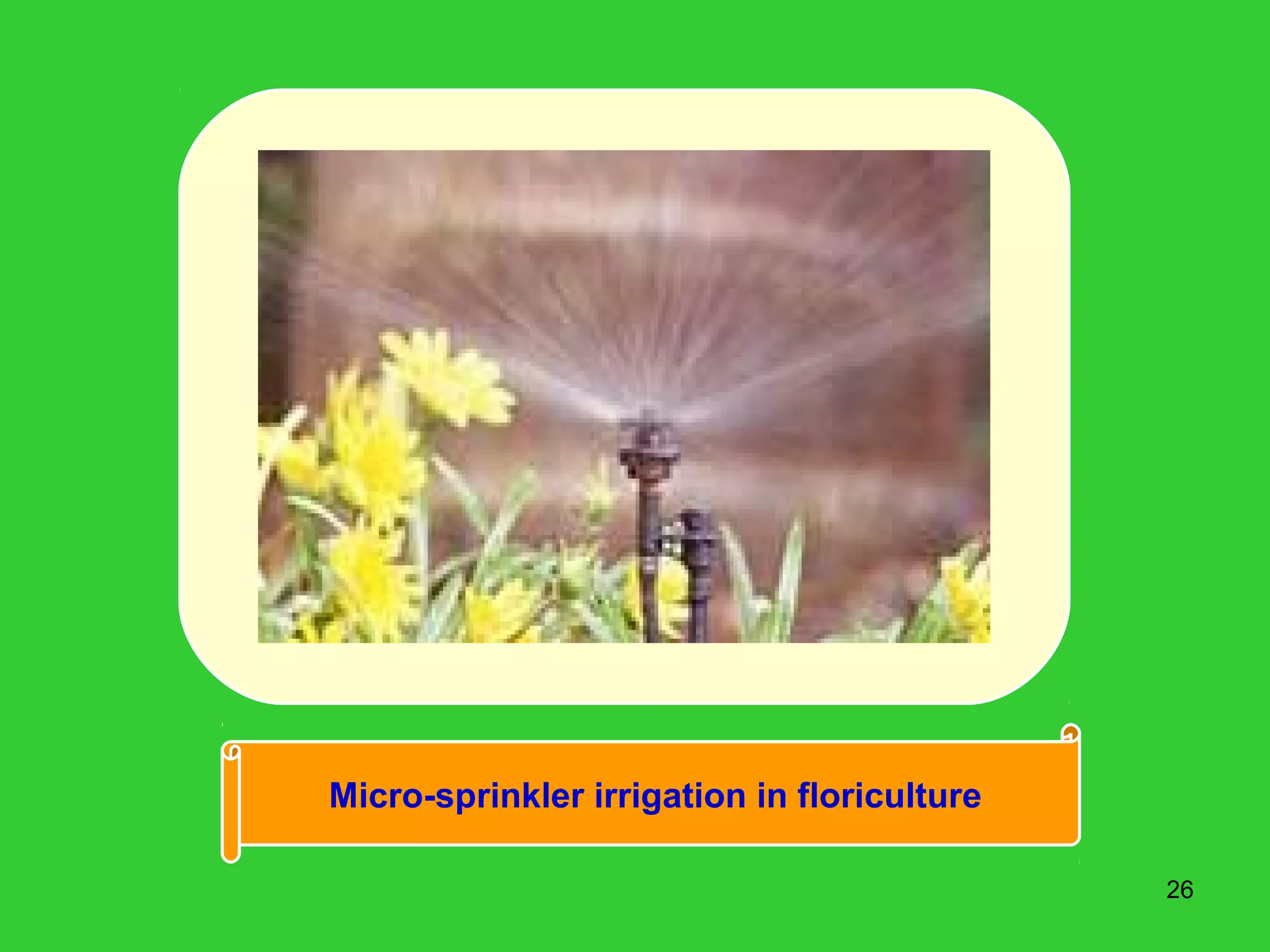 Micro Irrigation Systems | PPT