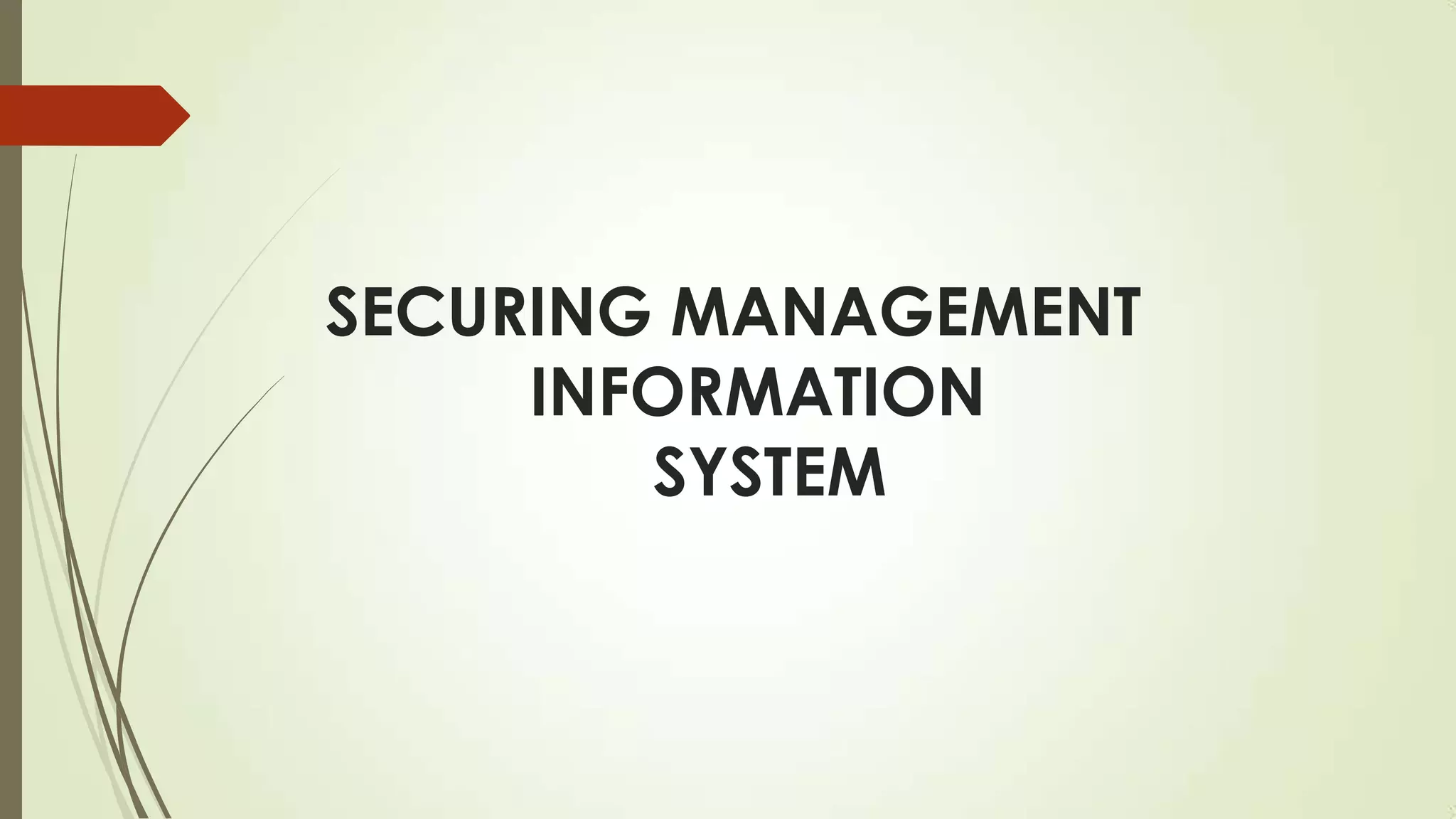 Management Information System Presentation | PPT