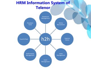 Telenor (Management Information System) PowerPoint Presentation | PPT