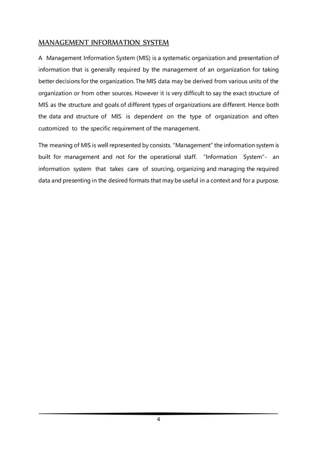 Managment Information System | DOCX | Business | Business and Finance