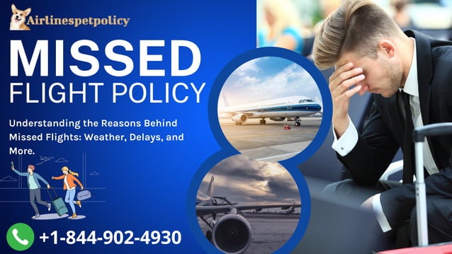 What is the policy of missed flights.pdf