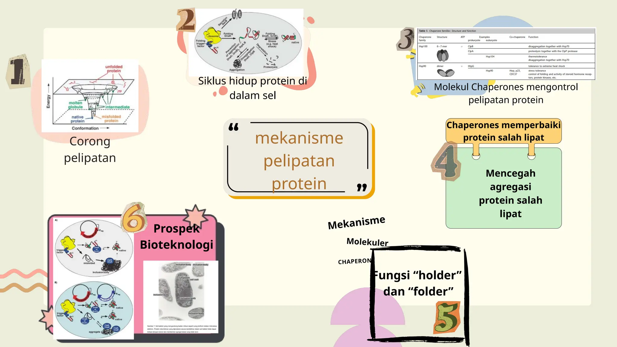 Missfolding Protein (kesalahan pelipatan protein) | PPTX
