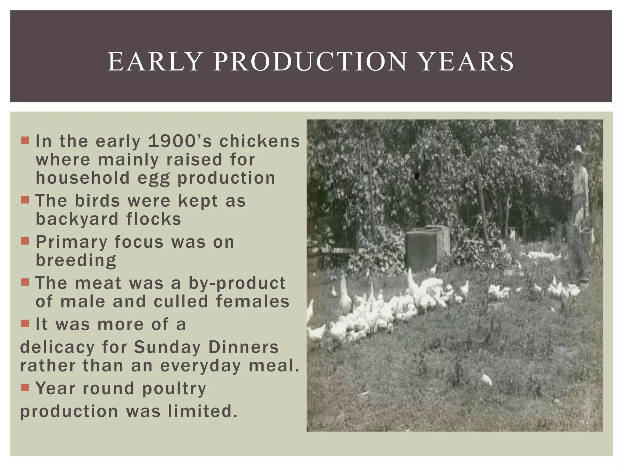 History of the Mississippi Poultry Industry | PPTX