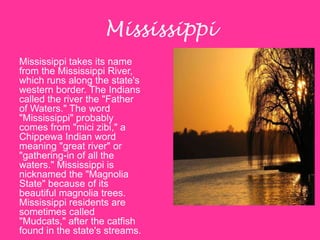 Mississippi State Tree Name