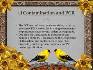 PCR | PPT