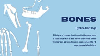 Miss Modley_LS_Skeletal system_Grade 11.pdf