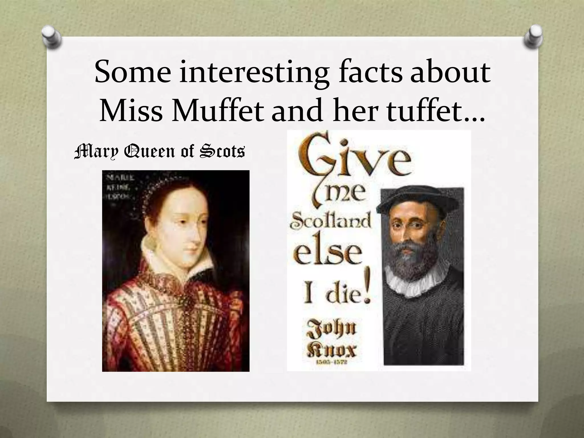 Ms muff perf task | PPT