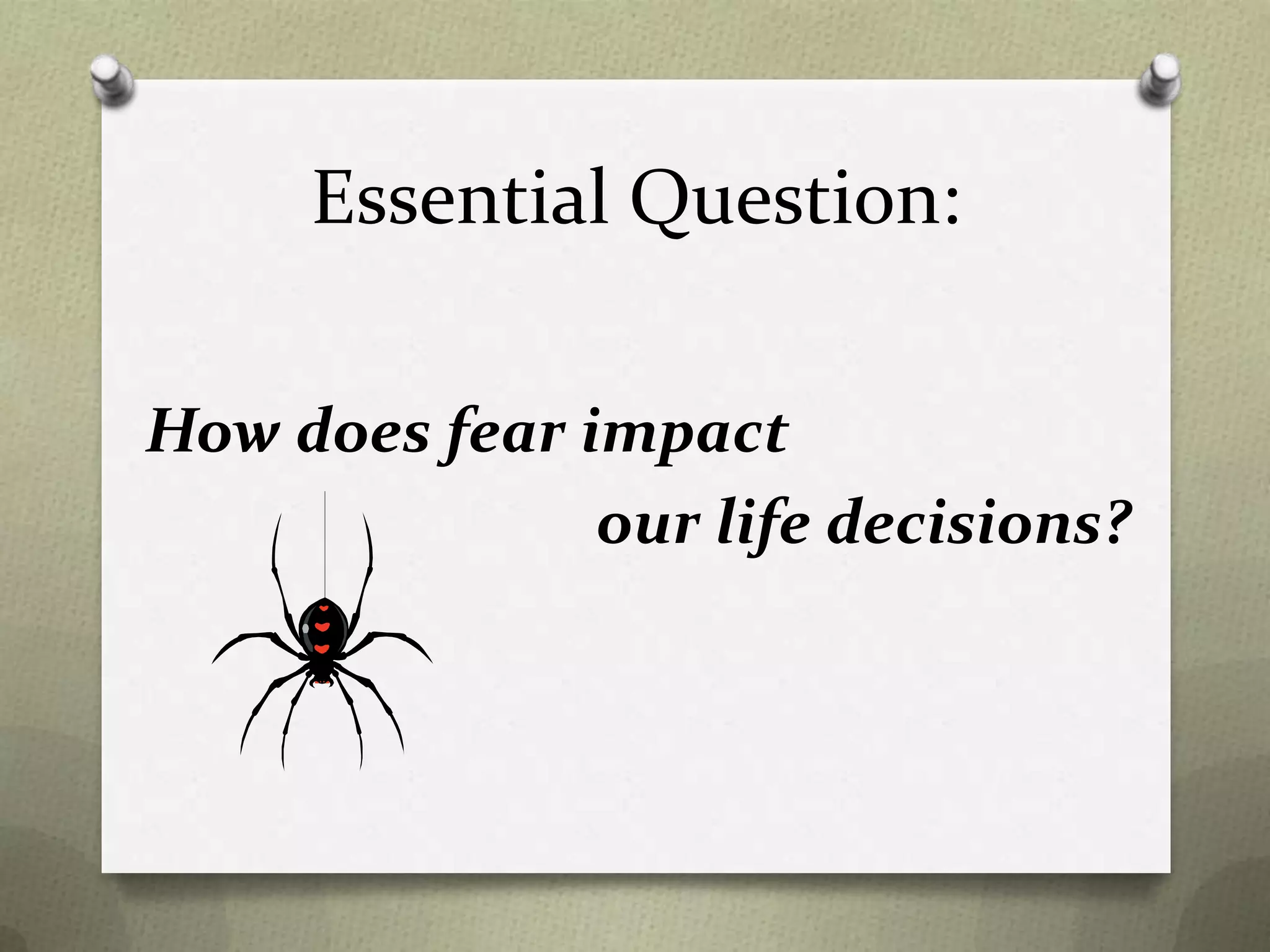 Ms muff perf task | PPT