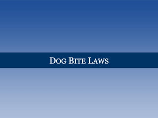 What Is The One Bite Rule For Dogs