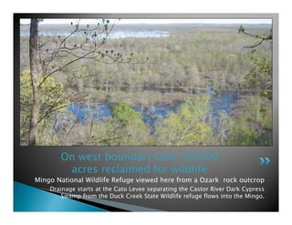 Missouri ozark plateau speidel | PPT