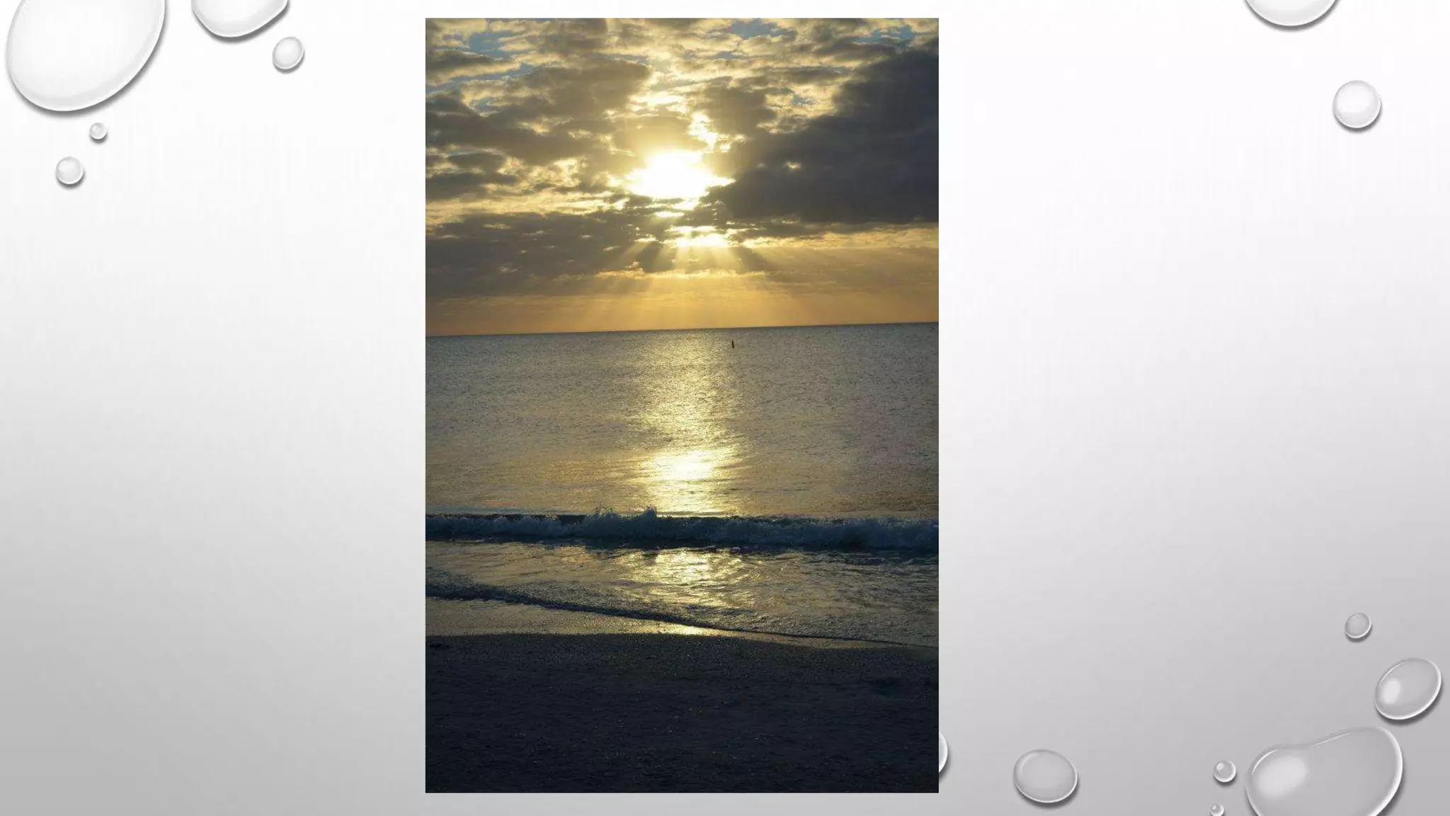 Miss Pinker Intro and Class Memes | PPTX