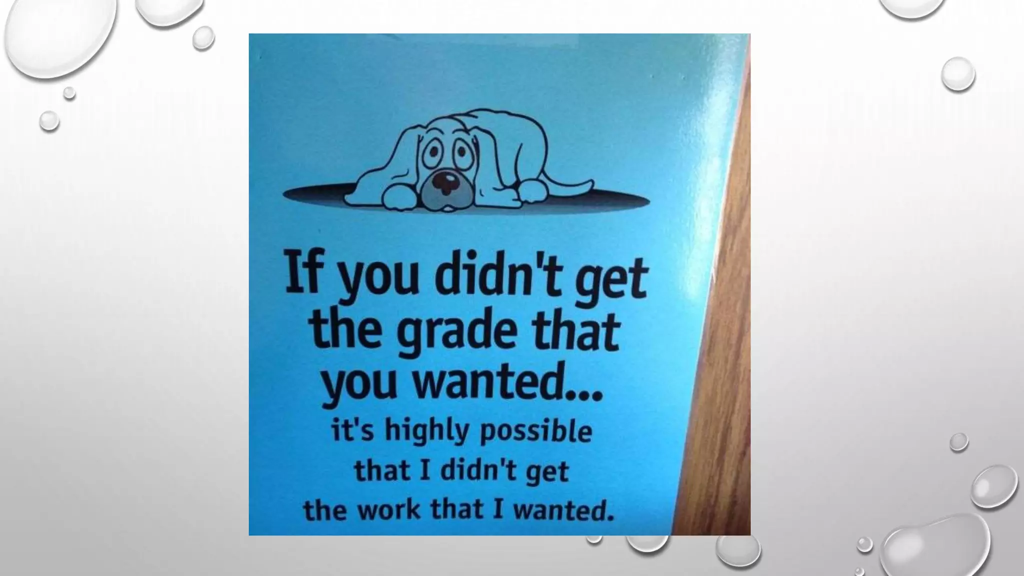 Miss Pinker Intro and Class Memes | PPTX