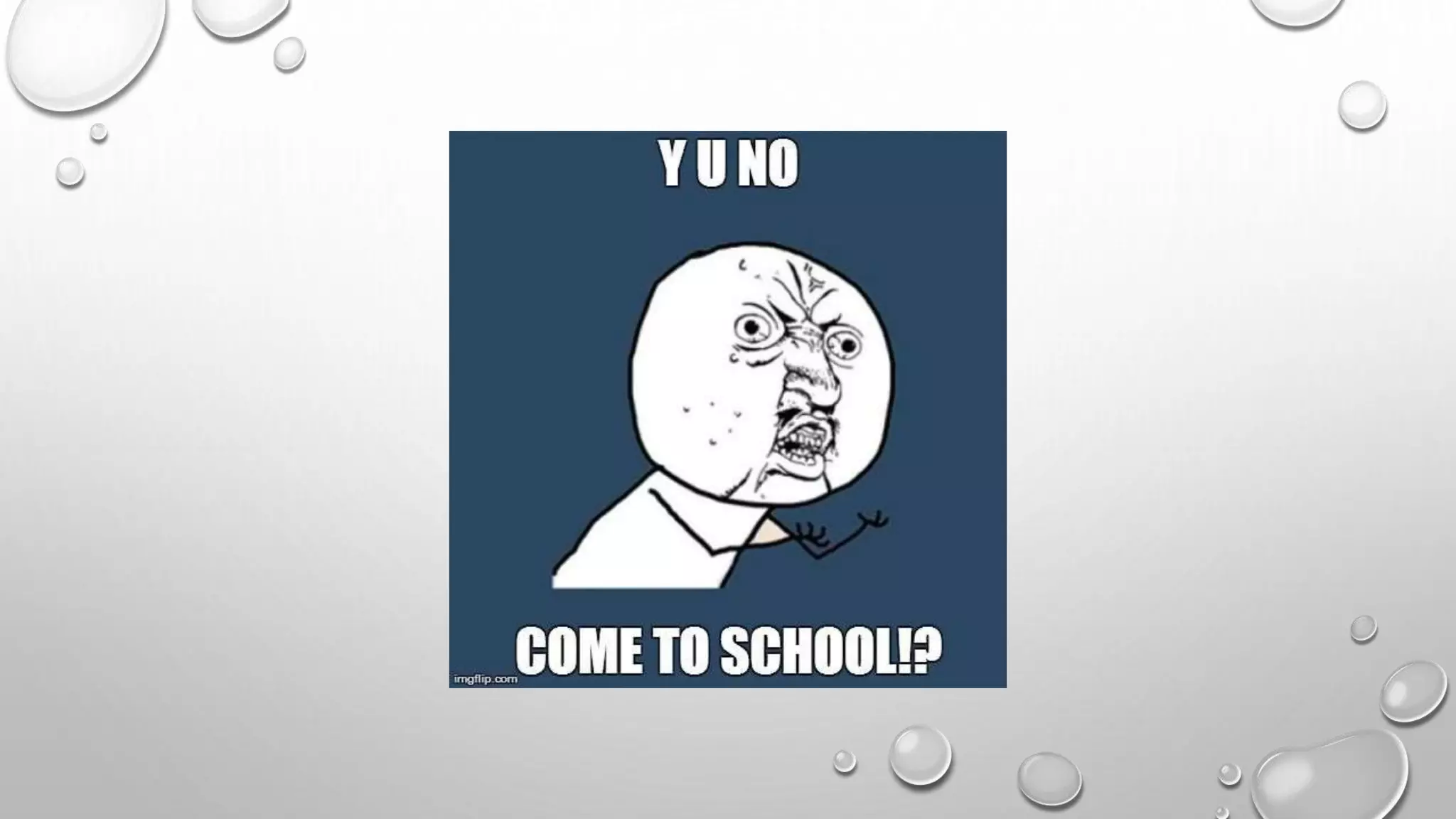 Miss Pinker Intro and Class Memes | PPTX