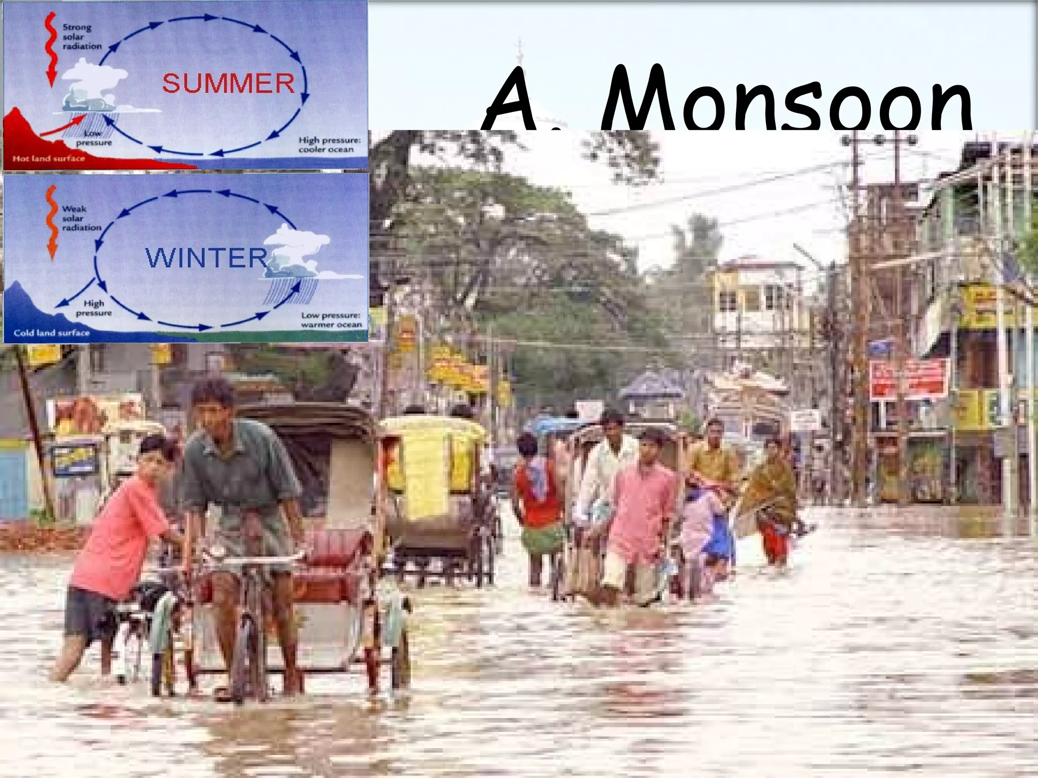 Miss Rice’s Cheat Sheet Part 1 | PPT