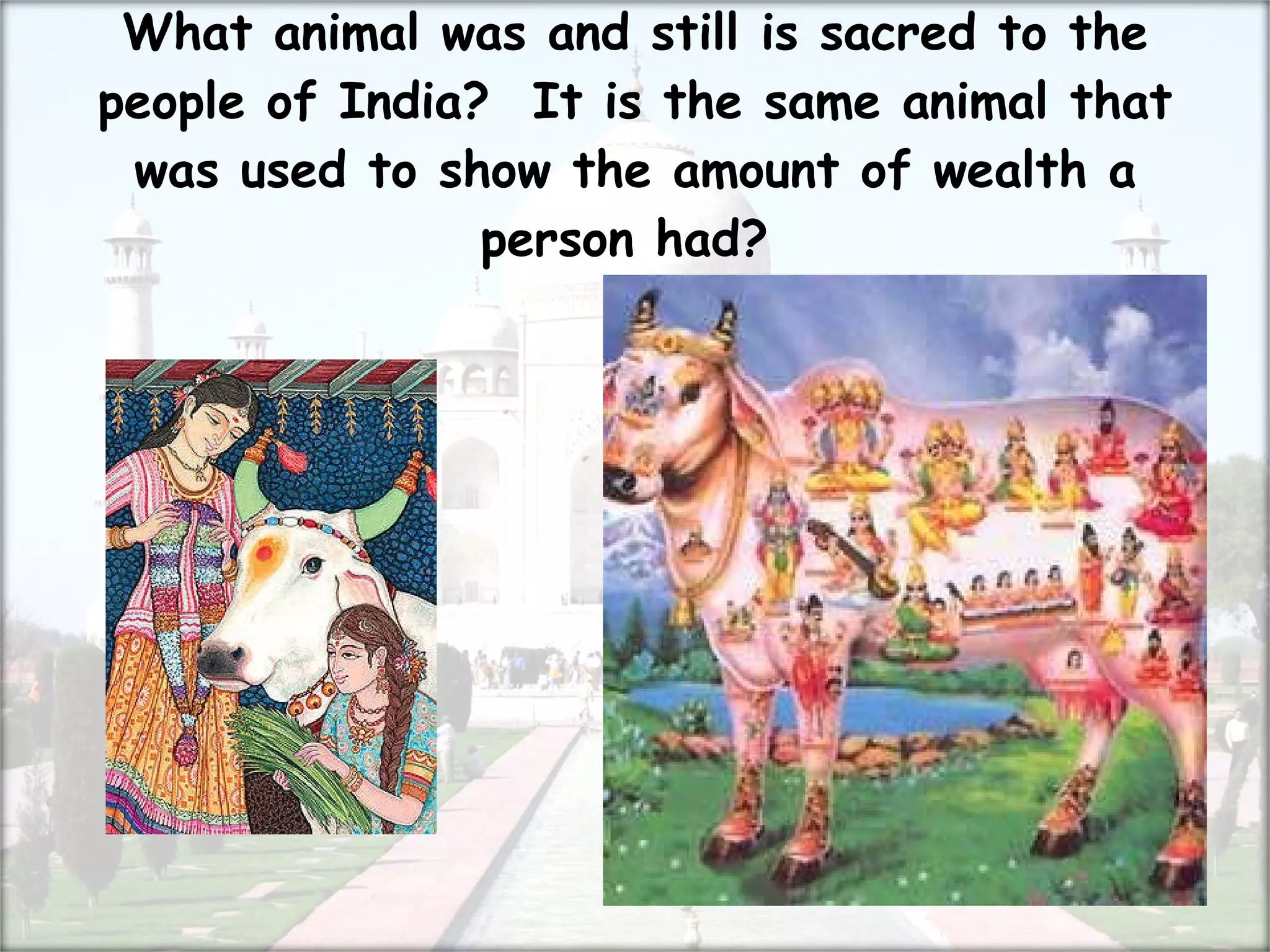 Miss Rice’S Cheat Sheet Part2 | PPT