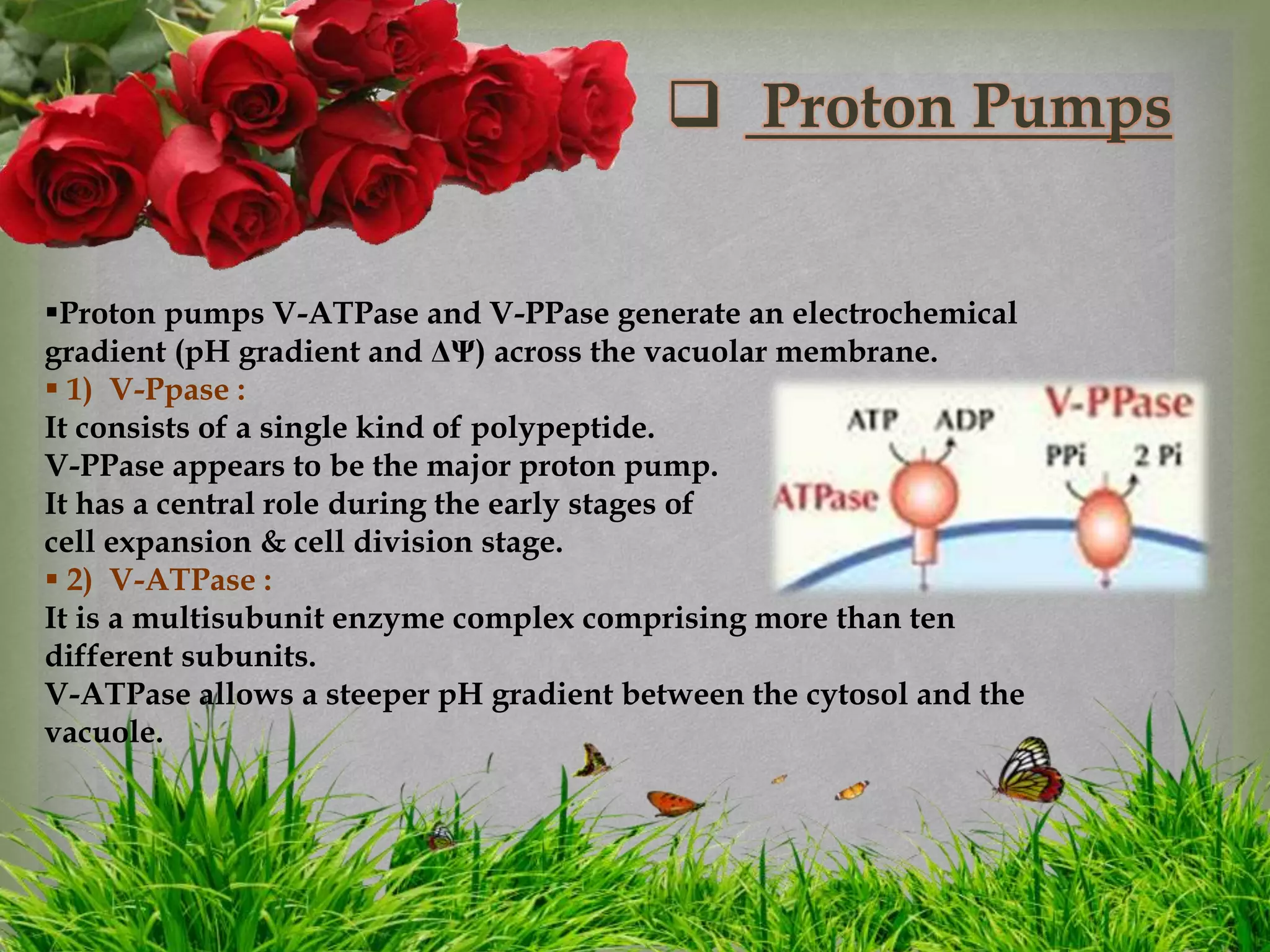 Vacuolar | PPTX