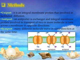 Vacuolar | PPTX