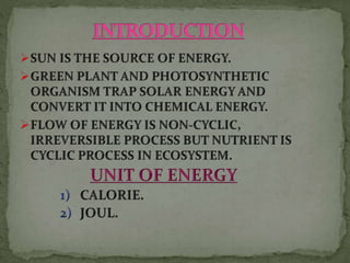 Flow of energy and matter through ecosystem. | PPTX