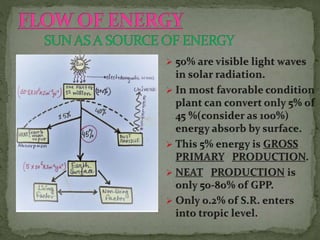 Flow of energy and matter through ecosystem. | PPTX