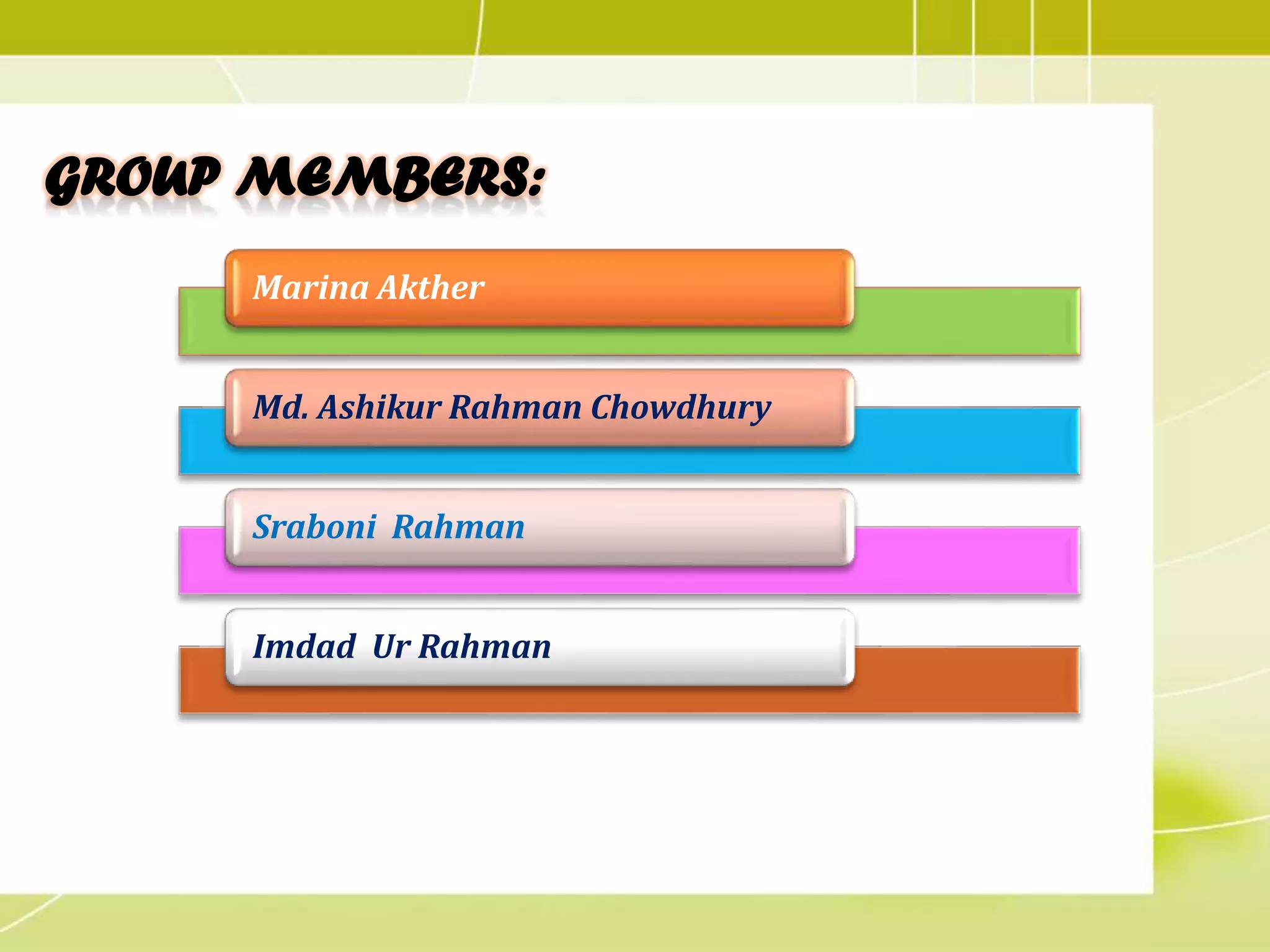 Mis stracture of bashundhara group | PPTX | Manufacturing Industry | Industries