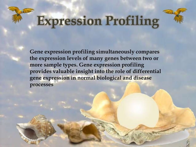 Study of Transcriptome | PPTX