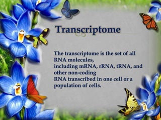 Study of Transcriptome | PPTX