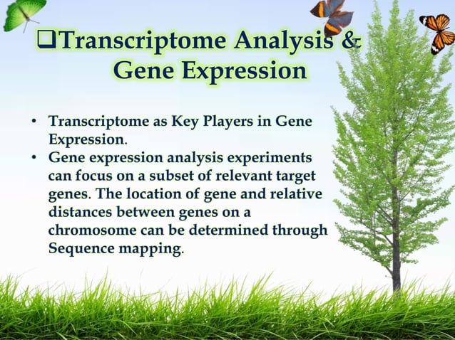 Study of Transcriptome | PPTX