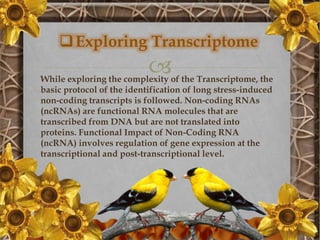 Study of Transcriptome | PPTX
