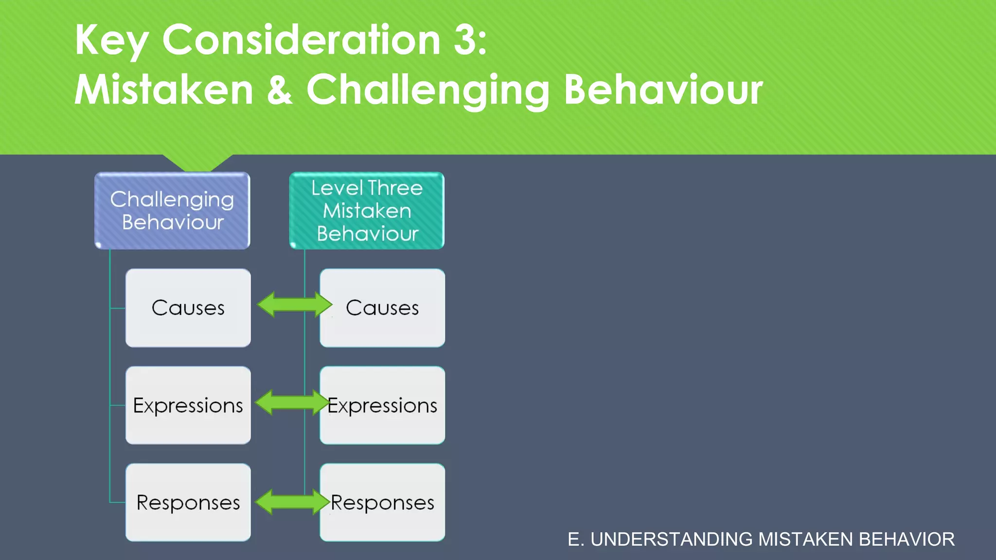 Mistaken behavior challenging behavior | PPT
