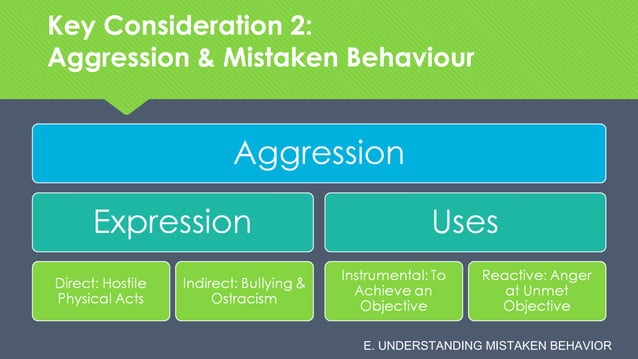 Mistaken behavior challenging behavior | PPT