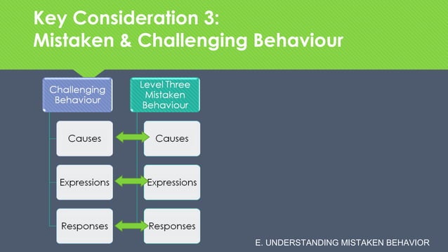 Mistaken behavior challenging behavior | PPT