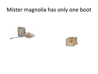 Mister Magnolia Pwer Point | PPT