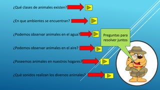 Misterio de animales | PPTX