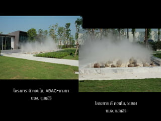 CoolPlus Misting effect application | PPT