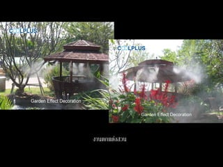 CoolPlus Misting effect application | PPT